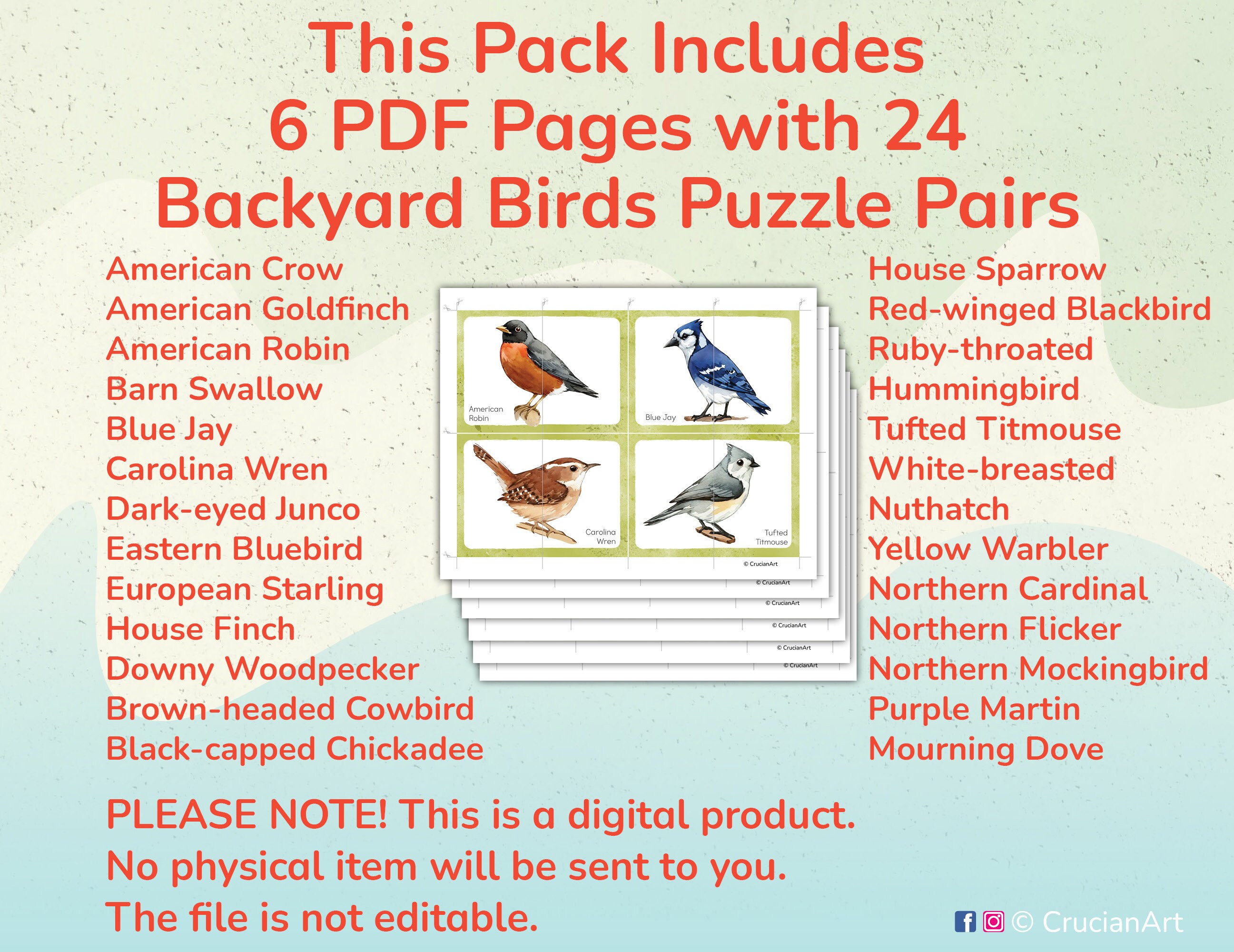 North American Backyard Birds Puzzle Pairs: Toddler Learning Activity ...