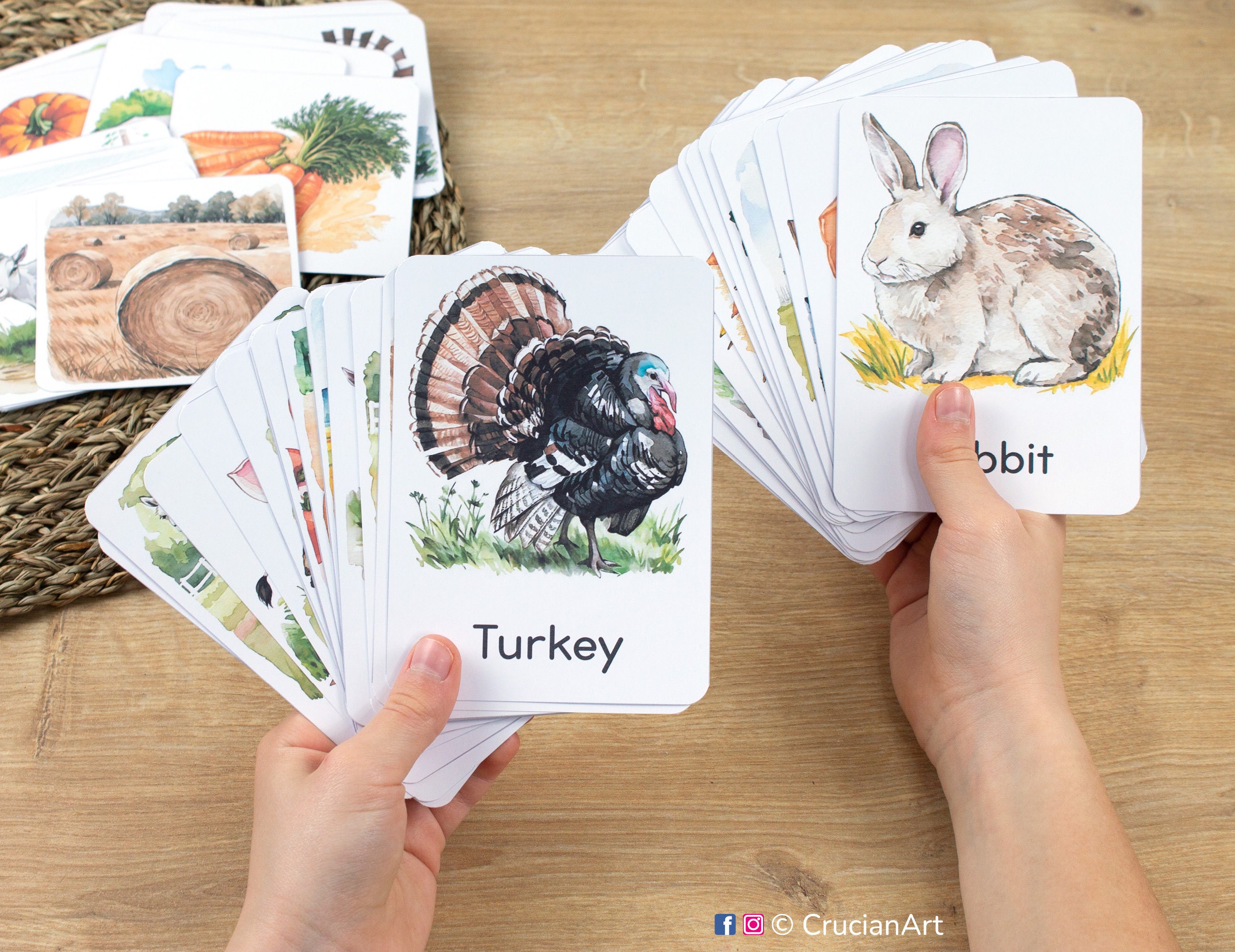 Farm Life Words Learning Flashcards. 3-part Cards Printable - Etsy