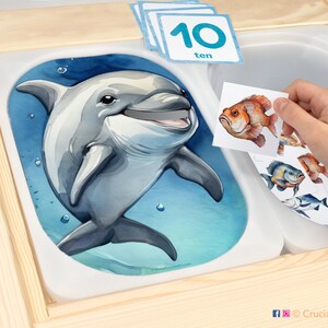Feed the Dolphin Fish Flisat Insert: Counting up to 12 Ocean Printable ...