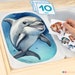 Feed the Dolphin Fish Flisat Insert: Counting up to 12 Ocean Printable ...