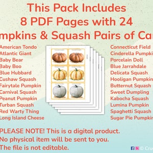 Pumpkin & Squash Memory Game: Printable Matching Activity. Autumn ...