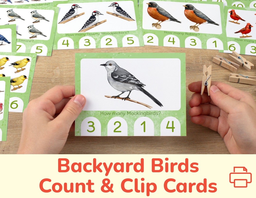 North American Backyard Birds Count & Clip Cards. Printable Homeschool ...