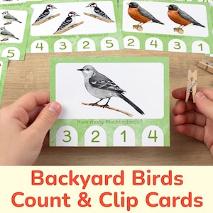 North American Backyard Birds Count & Clip Cards. Printable Homeschool ...