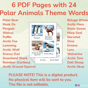 Polar Animals Flashcards: Toddler Preschool Kindergarten Printable ...