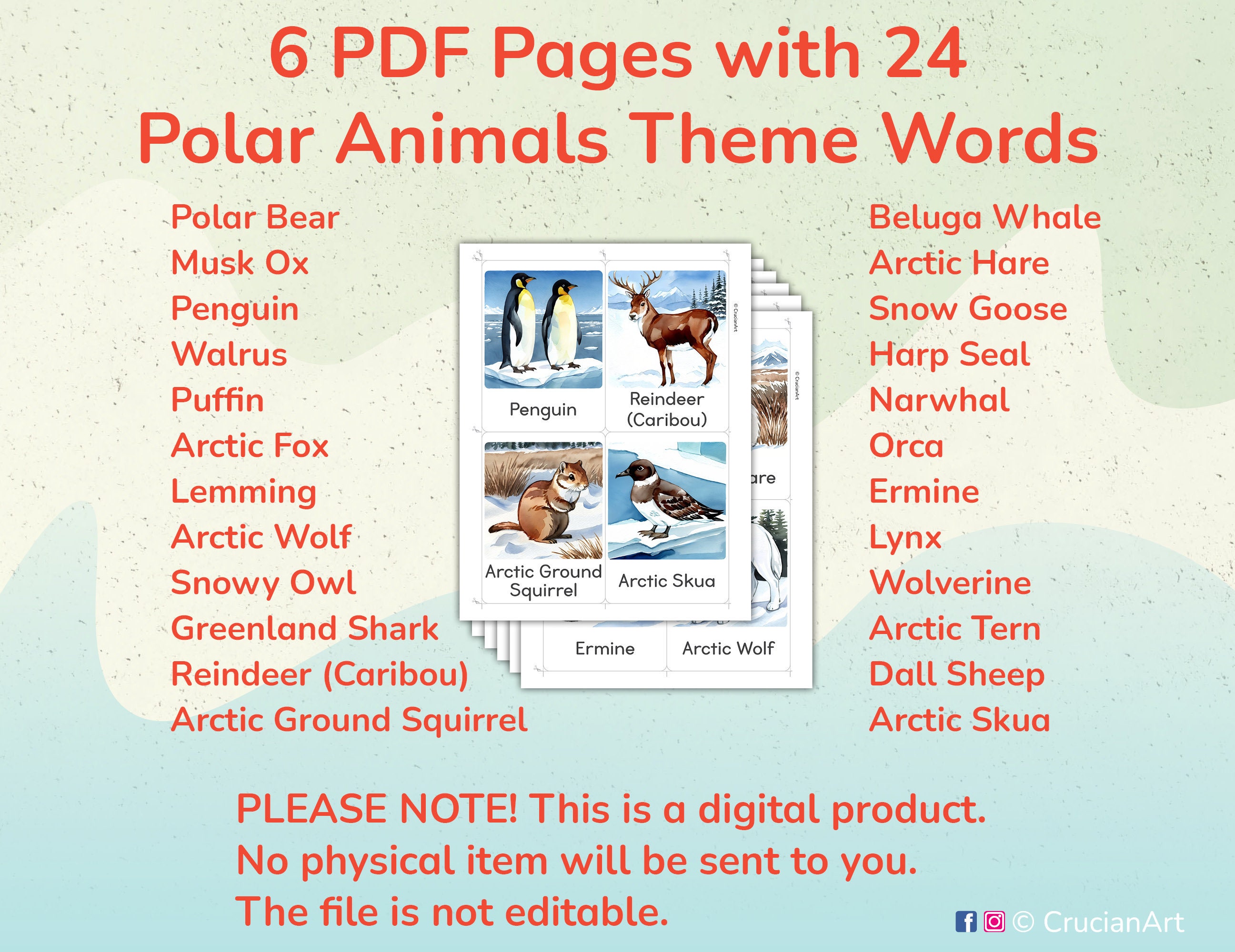 Polar Animals Flashcards: Toddler Preschool Kindergarten Printable ...