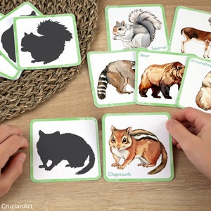 Woodland Animals Shadow Matching Activity: Toddler Printable Match ...