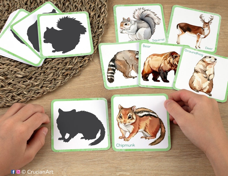 Woodland Animals Shadow Matching Activity: Toddler Printable Match ...