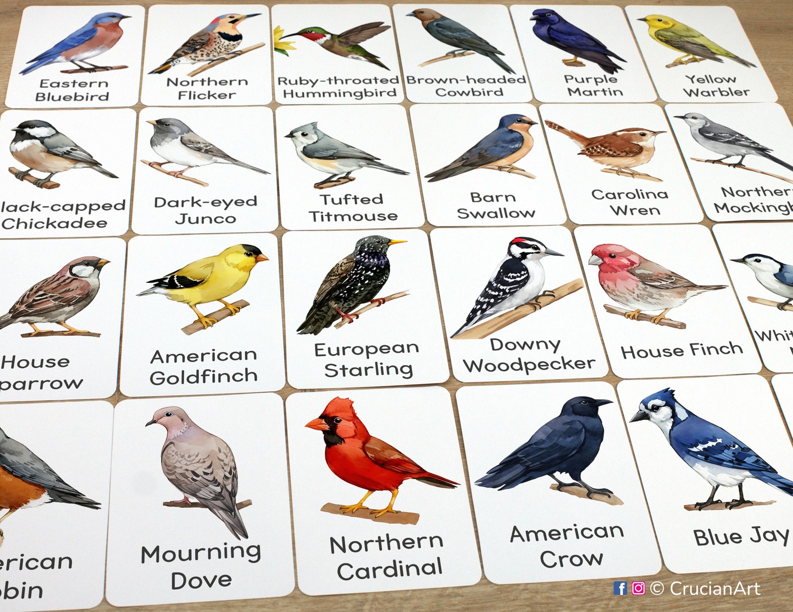 North American Backyard Birds Flash Cards. Printable Learning Materials ...