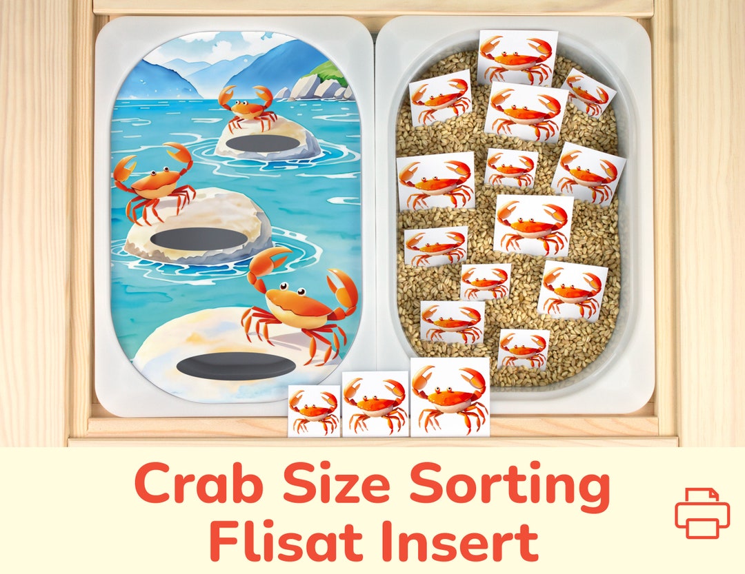 Sorting Crabs by Size: Printable Flisat Insert Activity for Sensory ...