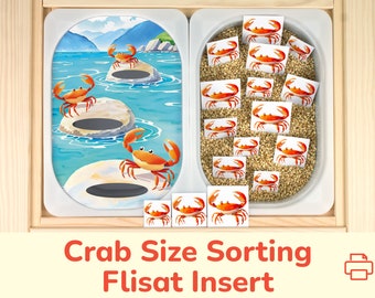Feed the Crab Plankton Flisat Insert: Counting Activity for Sensory ...