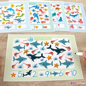 Ocean Animals I Spy Counting Activity. Under the Sea Homeschool ...