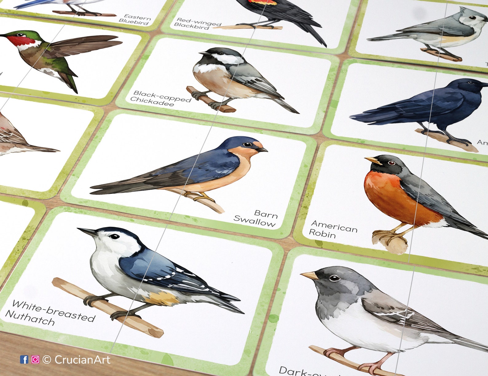 North American Backyard Birds Puzzle Pairs: Toddler Learning Activity ...