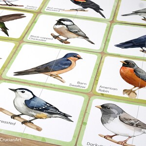 North American Backyard Birds Puzzle Pairs: Toddler Learning Activity ...