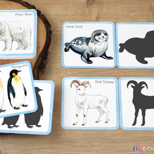 Arctic Animals Shadow Matching Activity: Printable Match Cards for ...