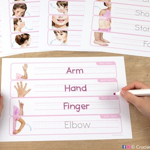Girl Version Body Parts Tracing Strips: Printable Educational ...