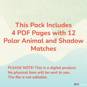 Arctic Animals Shadow Matching Activity: Printable Match Cards for ...