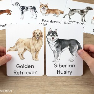 Dog Breeds Flashcards: Set of Printable Flash Cards. Preschool Learning ...