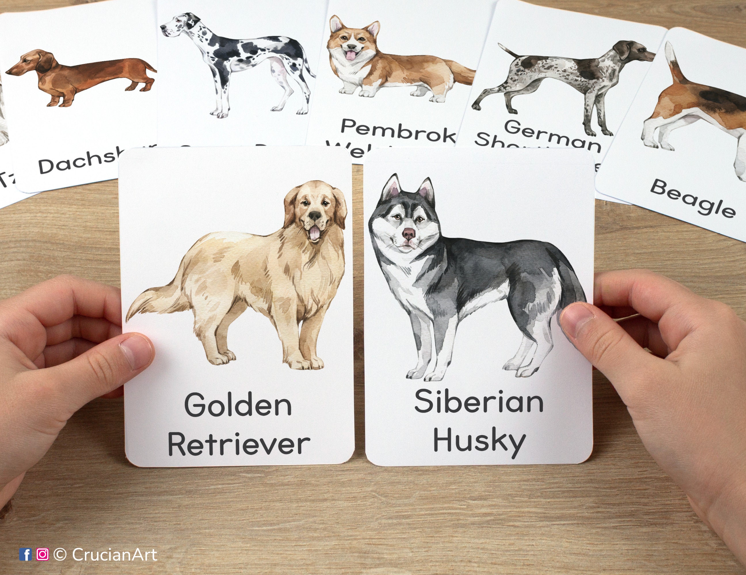 Dog Breeds Flashcards: Set of Printable Flash Cards. Preschool Learning ...