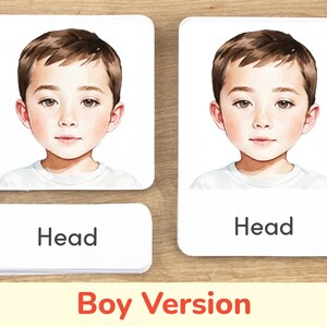 BOY & GIRL Versions Body Parts 3-part Cards. Body Identification ...