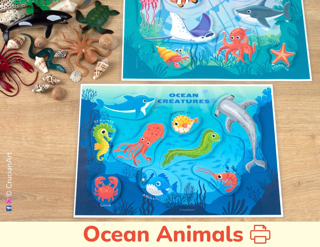 Under the Sea Matching Activity. Ocean Animals Learning Busy Book Page ...