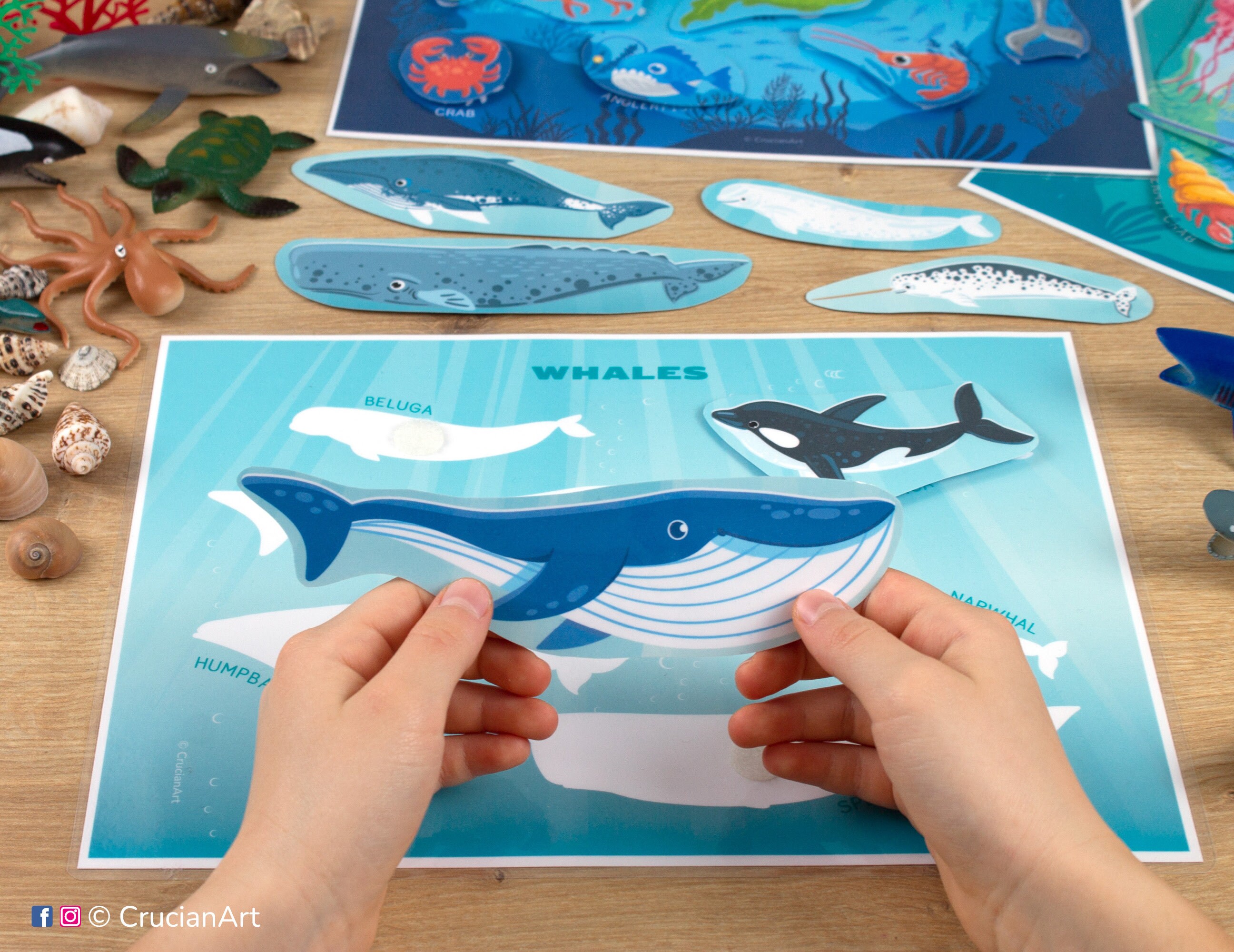 Under the Sea Matching Activity. Ocean Animals Learning Busy Book Page ...