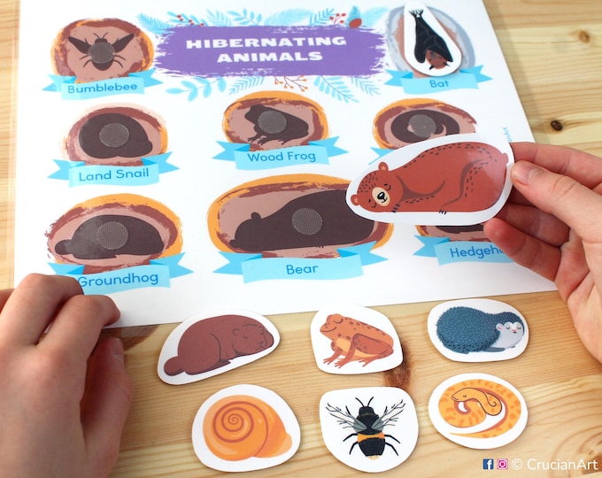 Animals That Hibernate: Hibernating Animal Silhouette Matching Activity ...