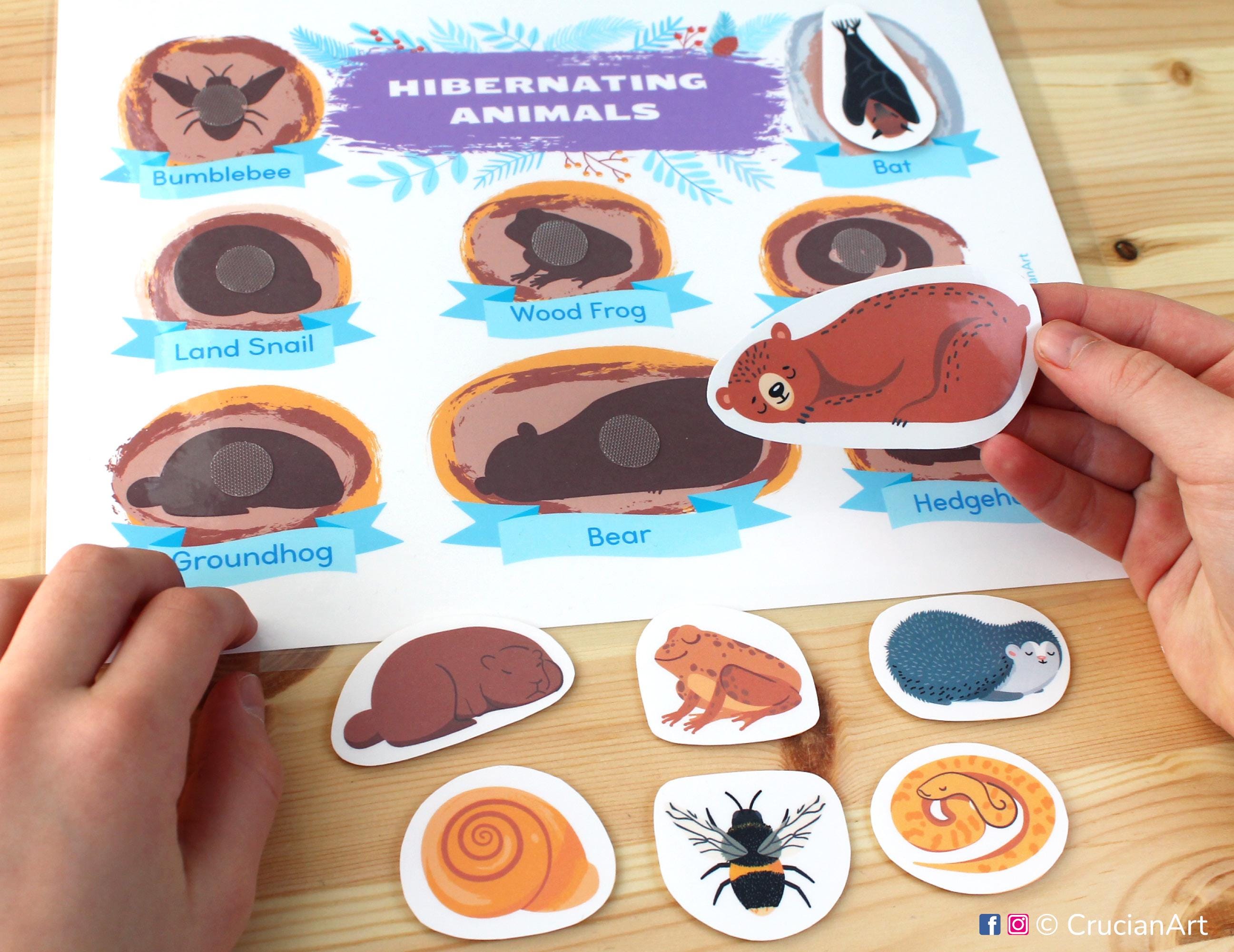 Animals That Hibernate: Hibernating Animal Silhouette Matching Activity ...