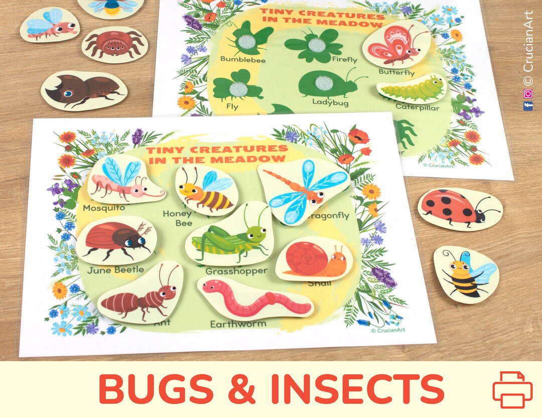 Little Creatures: Bugs & Insects Shadow Matching Activitiy. Printable ...