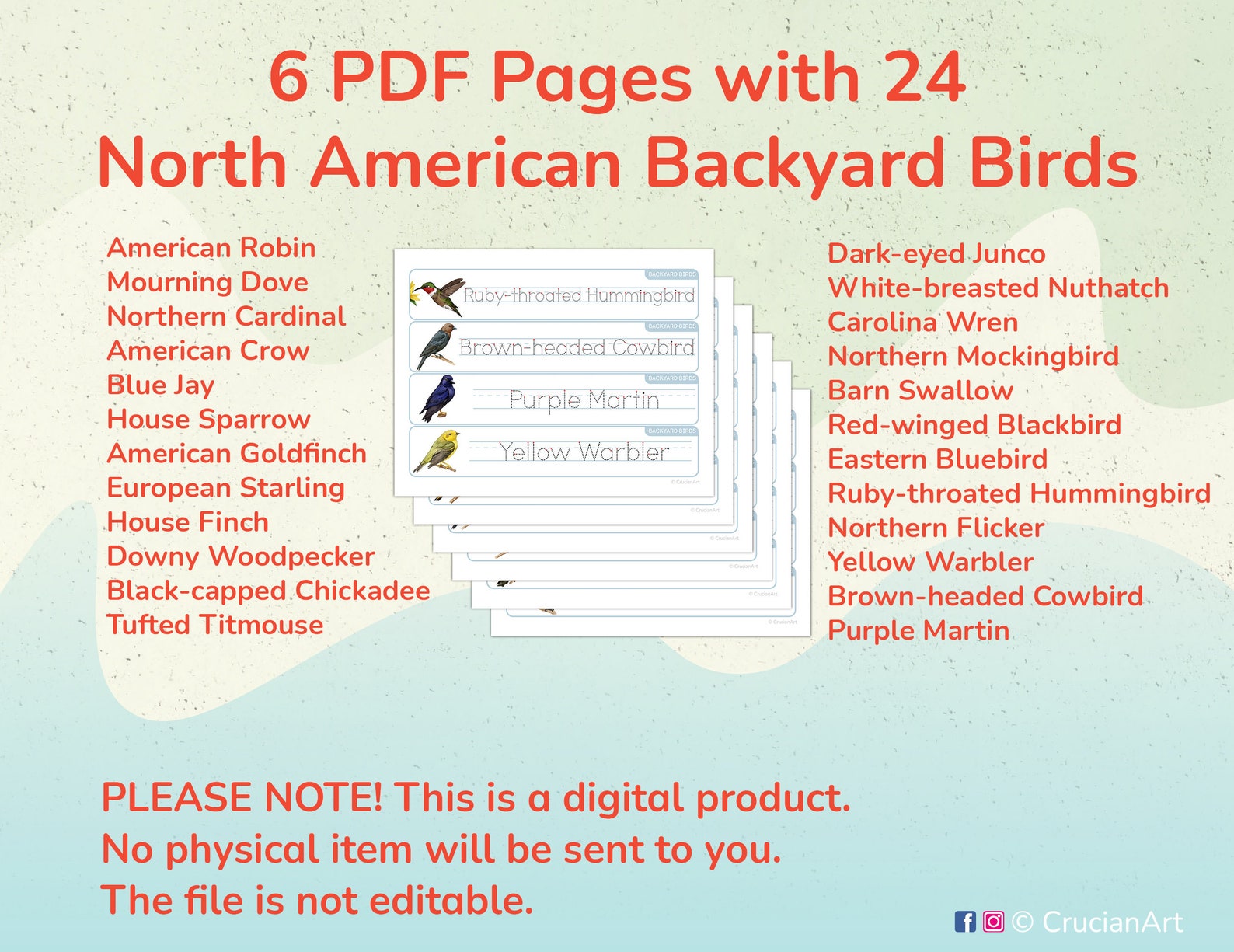 North American Backyard Birds Tracing Cards. Printable Learning ...