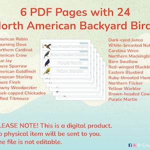 North American Backyard Birds Tracing Cards. Printable Learning ...