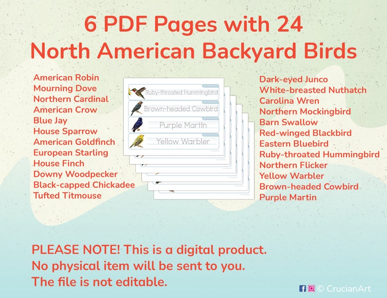 North American Backyard Birds Tracing Cards. Printable Learning ...
