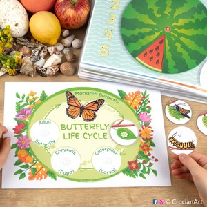 Summer Busy Book. Printable Preschool Activity Book. Preschool ...