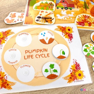 Fall Busy Book: Preschool Homeschool Printables, Preschool Printable ...