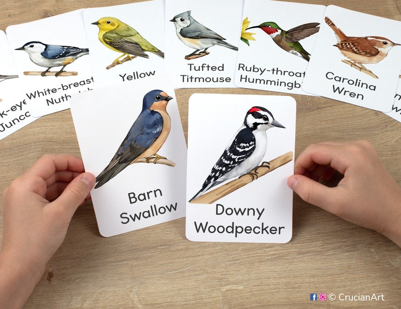 North American Backyard Birds Flash Cards. Printable Learning Materials ...