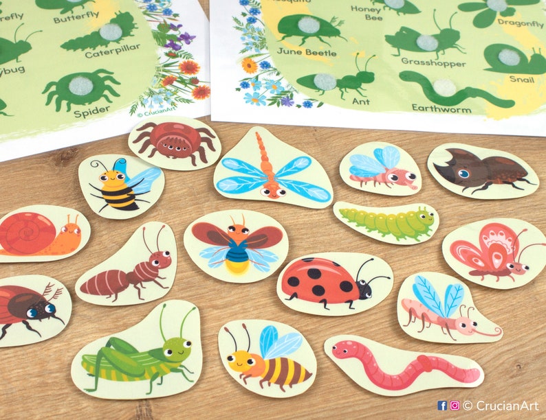 Little Creatures: Bugs & Insects Shadow Matching Activitiy. Printable ...