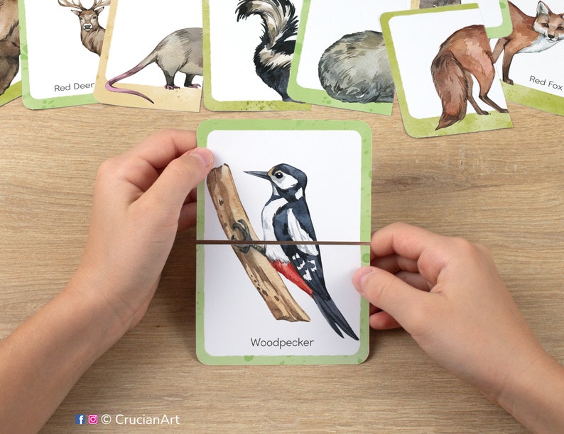 Woodland Animals Puzzle Pairs: Printable Match Cards for Toddlers ...