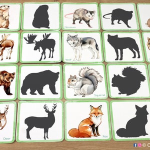 Woodland Animals Shadow Matching Activity: Toddler Printable Match ...
