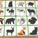Woodland Animals Shadow Matching Activity: Toddler Printable Match ...