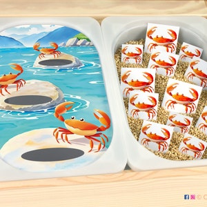 Sorting Crabs by Size: Printable Flisat Insert Activity for Sensory ...