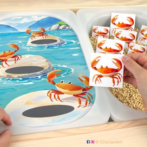 Sorting Crabs by Size: Printable Flisat Insert Activity for Sensory ...