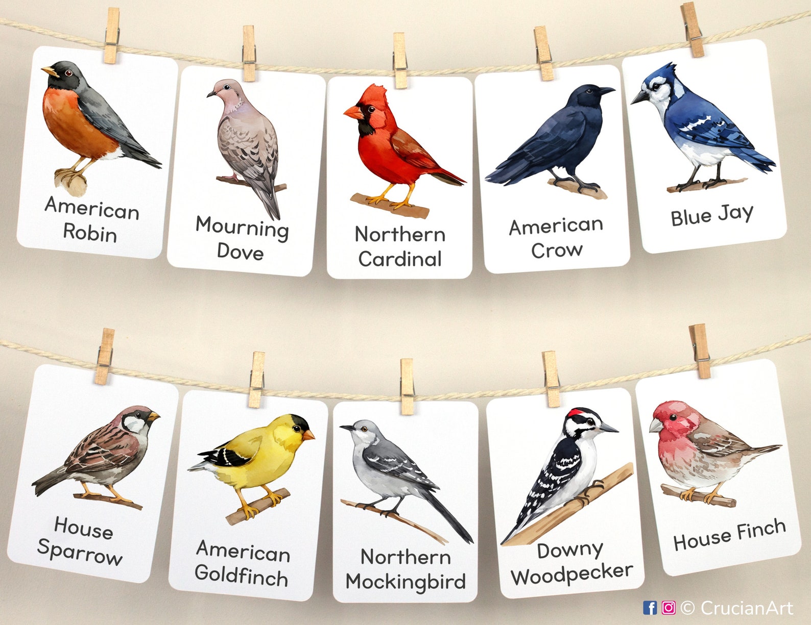 North American Backyard Birds Flash Cards. Printable Learning Materials ...