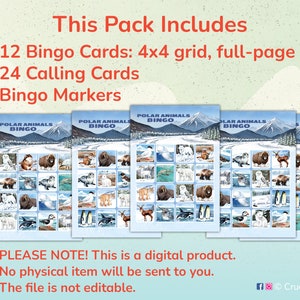 Polar Animals Bingo Game: Printable Preschool, Kindergarten, Toddler ...