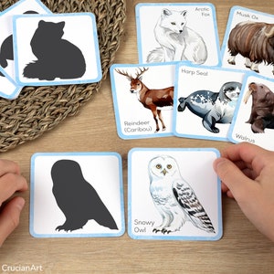 Arctic Animals Shadow Matching Activity: Printable Match Cards for ...