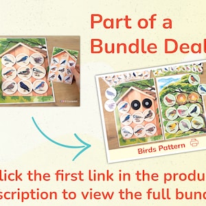 Cavity-nesting Birds Pattern Recognition Activity. Printable Matching ...