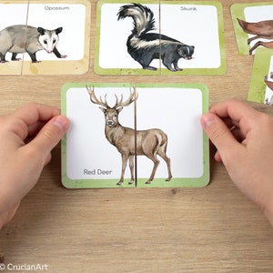 Woodland Animals Puzzle Pairs: Printable Match Cards for Toddlers ...