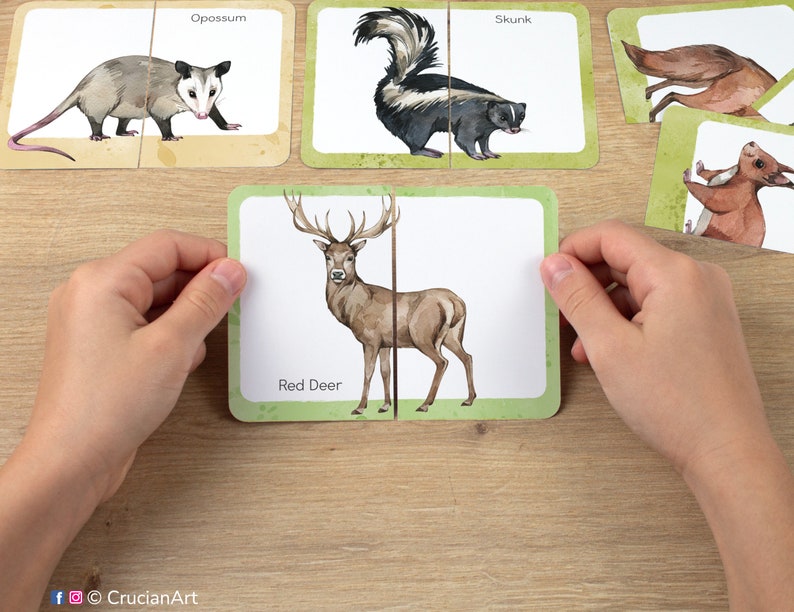 Woodland Animals Puzzle Pairs: Printable Match Cards for Toddlers ...