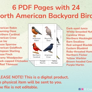North American Backyard Birds Flash Cards. Printable Learning Materials ...