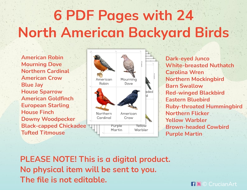 North American Backyard Birds Flash Cards. Printable Learning Materials ...