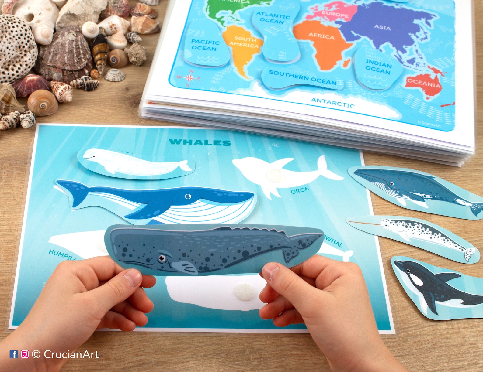 Ocean Animals Activity Book. Under the Sea Printable Busy Book. Ocean ...