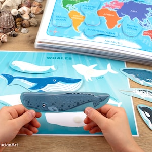 Ocean Animals Activity Book. Under the Sea Printable Busy Book. Ocean ...
